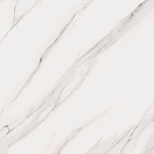 Calacatta Select Levigato 60x120